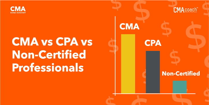Certified Management Accountant Salary: An Expert's Guide for 2019