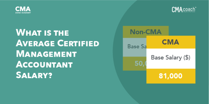 Certified Management Accountant: All You Need To Know